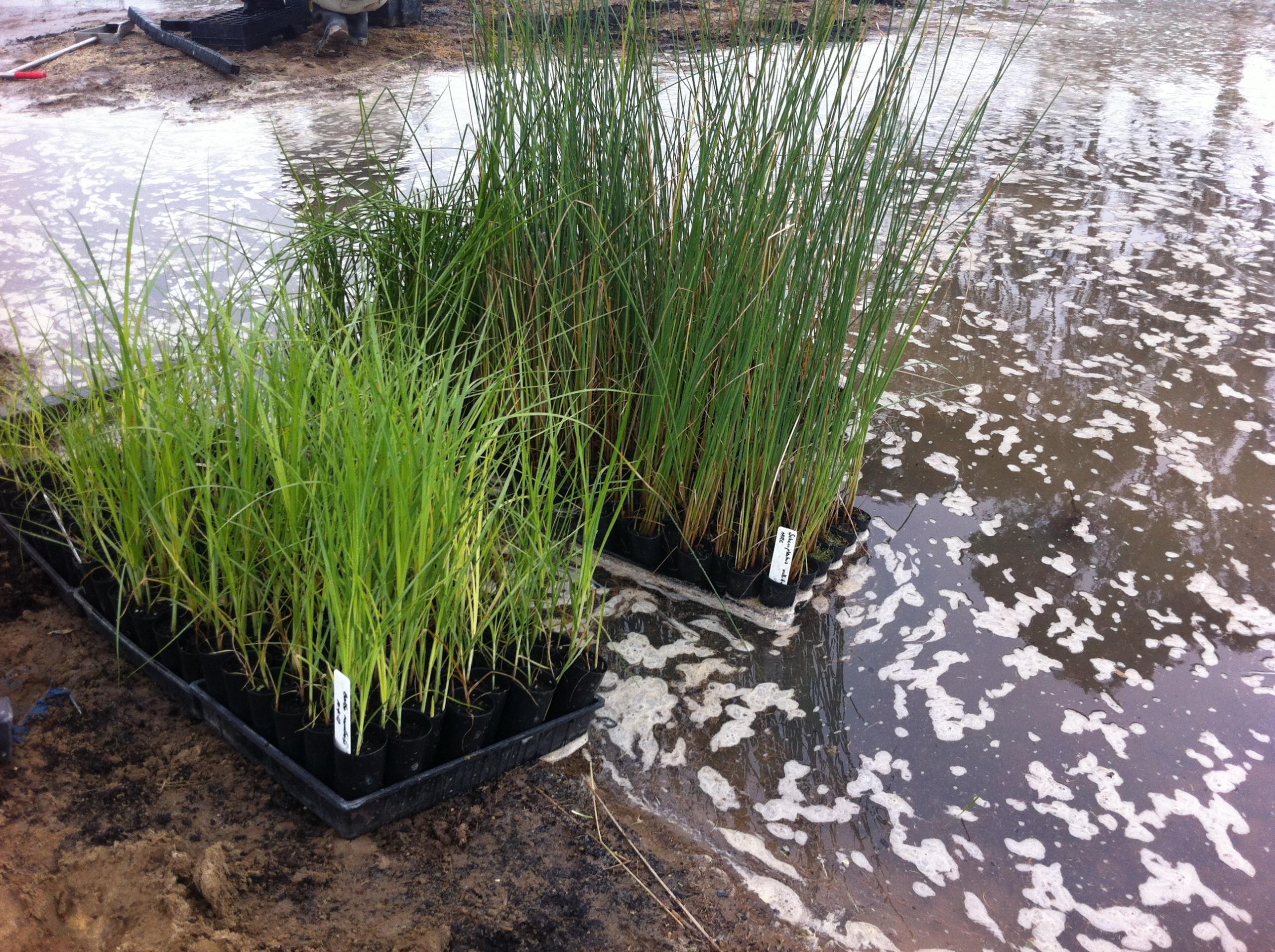 Stormwater offsets - Design Flow